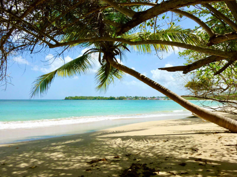 Caribbean Archives - Art of the Itinerary
