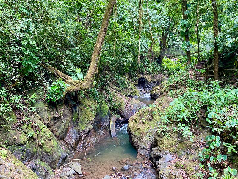 Rainmaker Conservation Park, Costa Rica - Art of the Itinerary