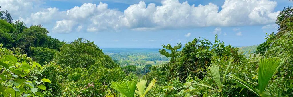 Rainmaker Conservation Park, Costa Rica - Art of the Itinerary
