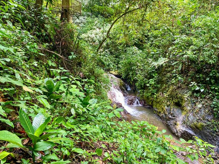 Rainmaker Conservation Park, Costa Rica - Art of the Itinerary
