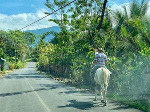 Rainmaker Conservation Park, Costa Rica - Art of the Itinerary